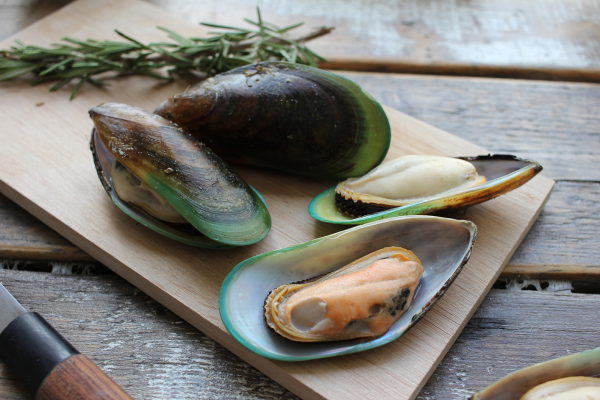 Frische Muscheln kaufen | Online bei send a fish