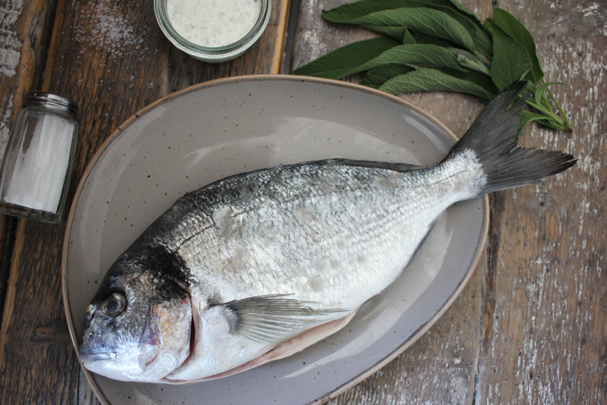 Frische Dorade online kaufen und liefern lassen