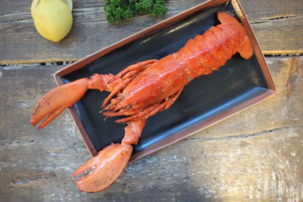 Hummer richtig zubereiten | send-a-fish.de | Fisch online kaufen