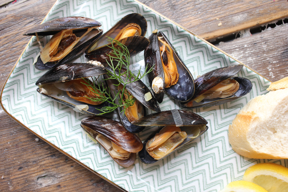 Frische Muscheln kaufen | Online bei send a fish
