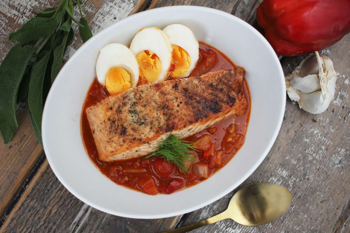 Shakshuka mit Lachs | send-a-fish.de | Fisch online kaufen