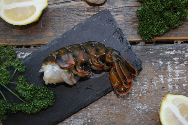 Hummer online kaufen | Jetzt bei send a fish bestellen