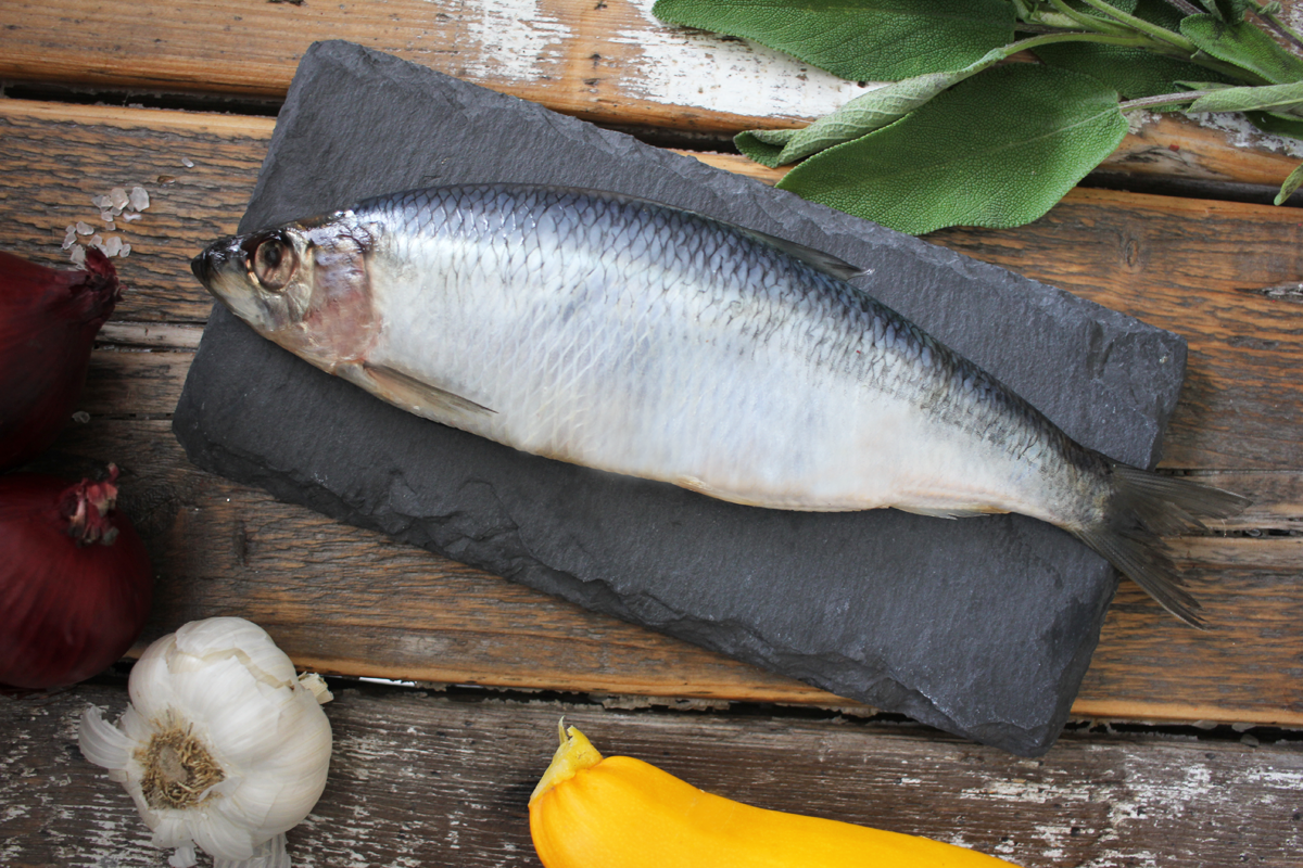 Frischer Hering online kaufen und liefern lassen