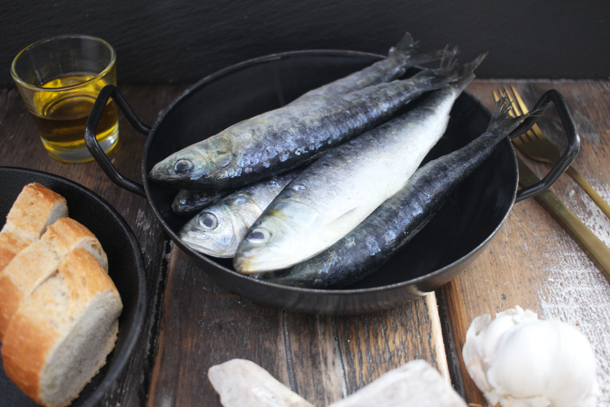 Sardinen online kaufen | Sardinas de Galicia bestellen