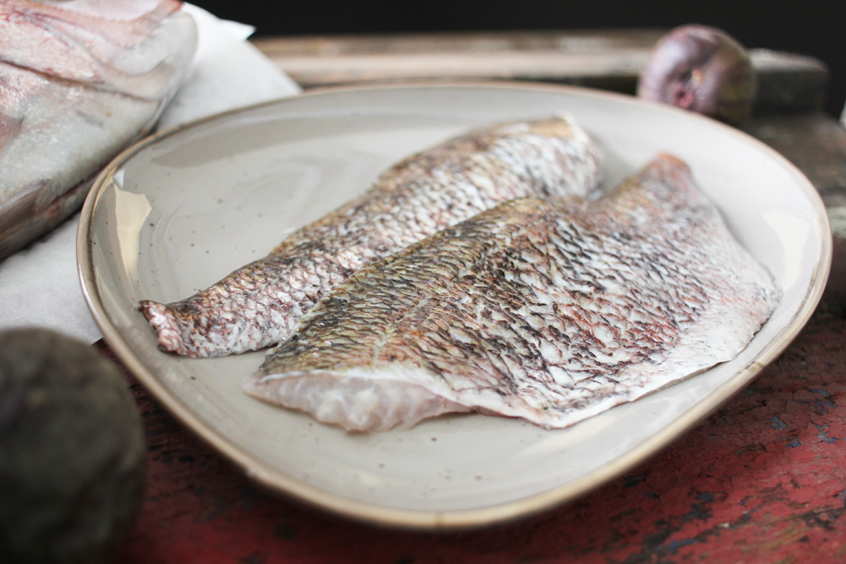 Frische Dorade online kaufen und liefern lassen