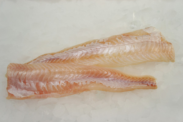 Kingklip Filet online kaufen | Genuß aus Südafrika